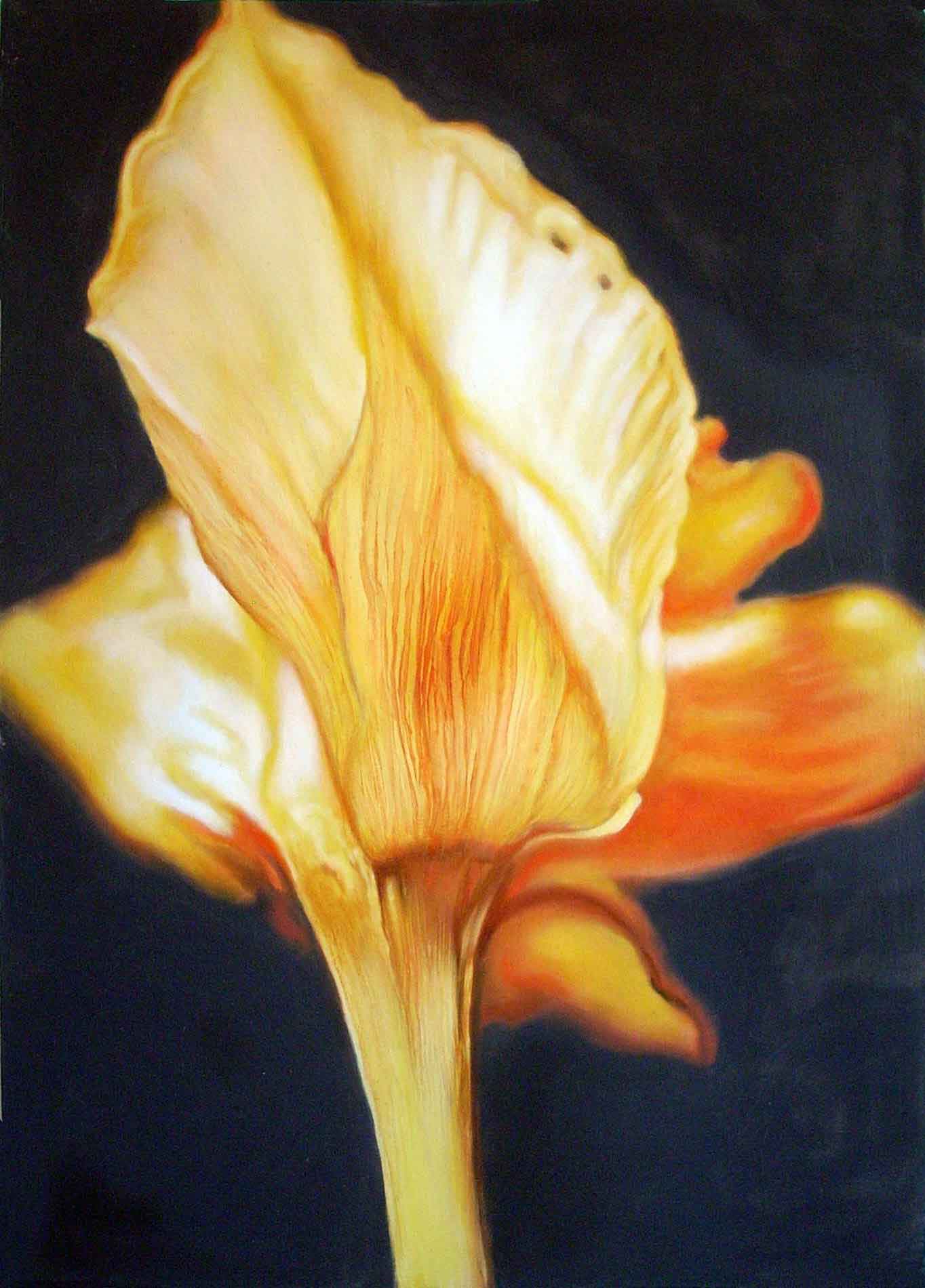 Fiori Daniele Nuvola Giorgio Bertozzi Blog014 – Giorgio Bertozzi